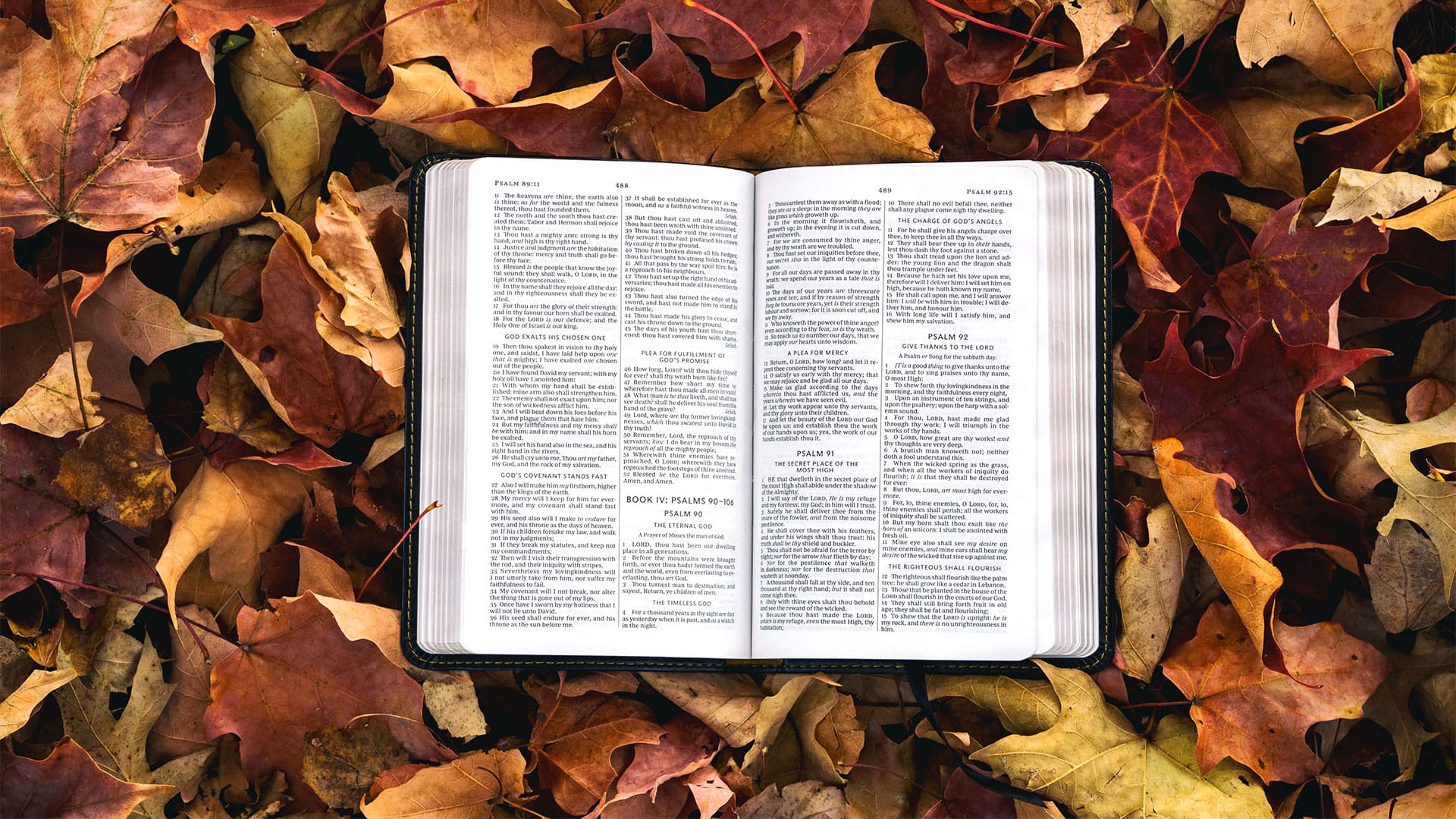 Doctrinal Statement – Toronto Baptist Seminary